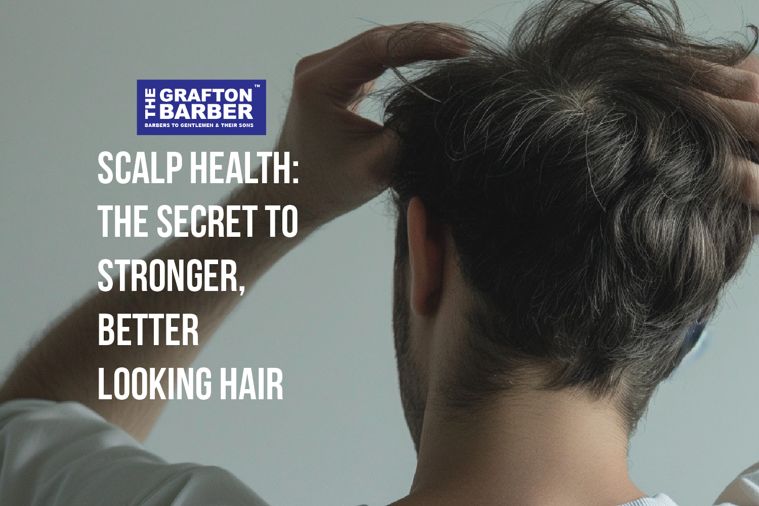 Scalp Health: The Secret to Stronger, Better-Looking Hair - The Grafton ...
